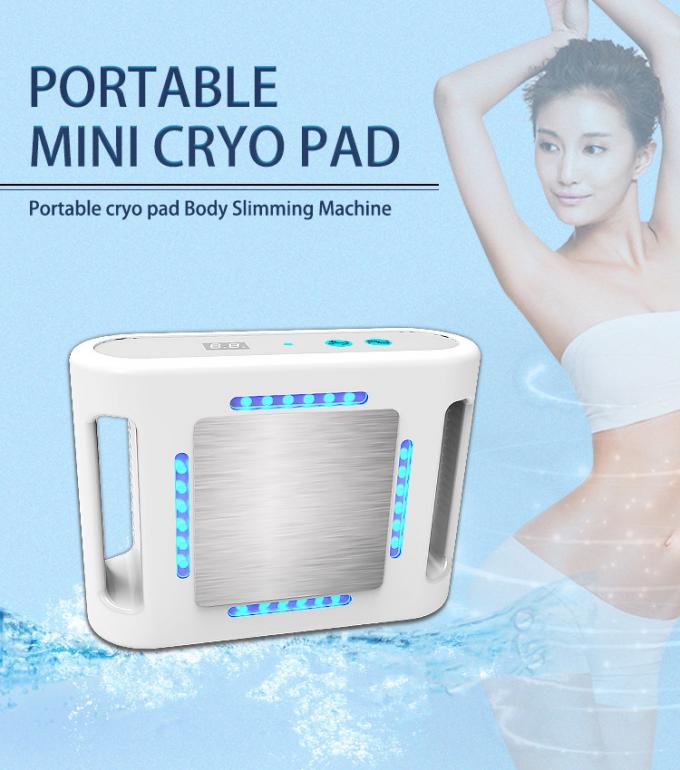 Fat Freezing Criolipolise Cooling Pads Cryotherapy / Mini Cryo Shape ...